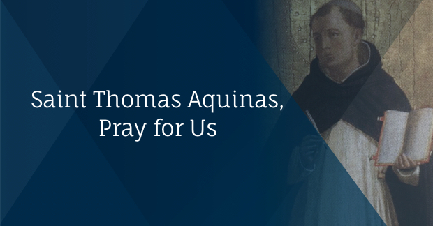 Discover January’s Saint of the Month: St. Thomas Aquinas - Verbum Blog